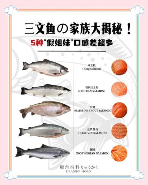 三文鱼是深海鱼吗_深海鱼与近海鱼区别-第1张图片-山城妙识