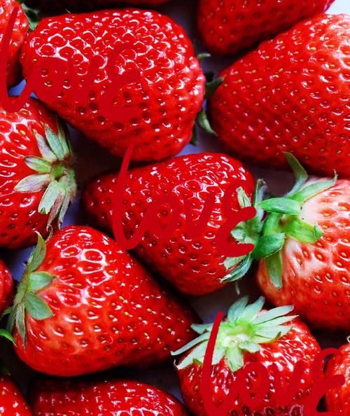 草莓网是正品吗_草莓网官网入口在哪-第2张图片-山城妙识