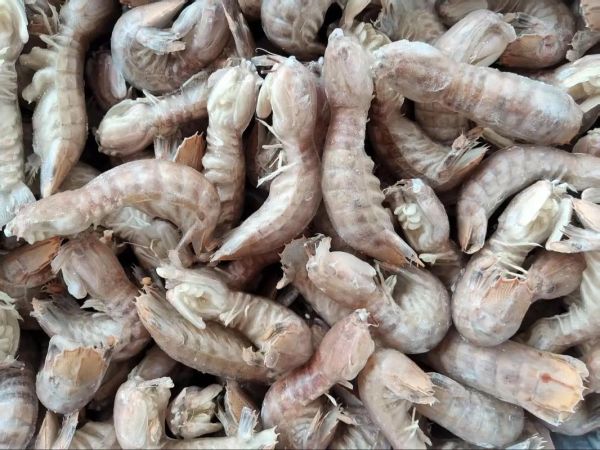 虾姑排多少钱一斤_虾姑排价格行情-第2张图片-山城妙识