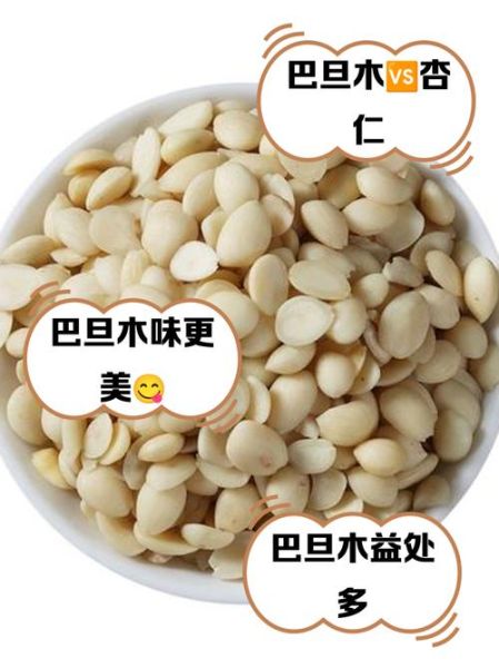 巴旦木和杏仁的区别_哪个营养价值更高-第1张图片-山城妙识 巴旦木和杏仁的区别_哪个营养价值更高-第1张图片-山城妙识