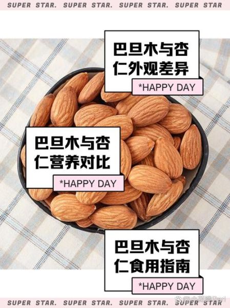 巴旦木和杏仁的区别_哪个营养价值更高-第2张图片-山城妙识 巴旦木和杏仁的区别_哪个营养价值更高-第2张图片-山城妙识