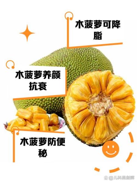 木菠萝的功效与作用_木菠萝怎么吃不上火-第1张图片-山城妙识