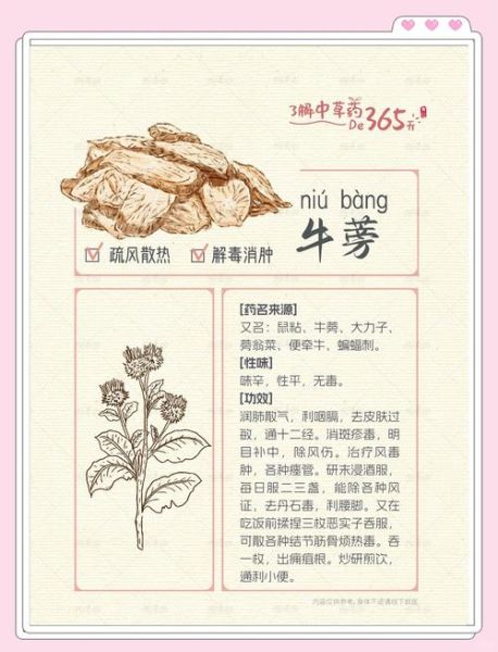 牛蒡根怎么吃_牛蒡根的做法大全-第1张图片-山城妙识 牛蒡根怎么吃_牛蒡根的做法大全-第1张图片-山城妙识