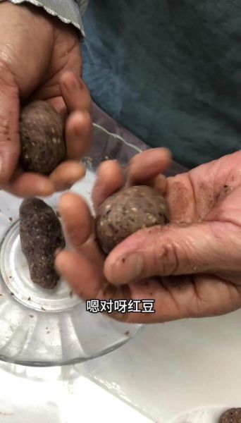 糯米青团子怎么做_青团子做法步骤详解-第2张图片-山城妙识