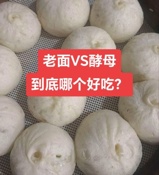 用酵母发面蒸包子多久能发好_蒸包子酵母放多少合适-第3张图片-山城妙识