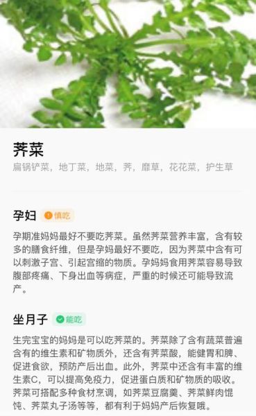 野生荠菜的营养价值_孕妇能吃吗-第2张图片-山城妙识