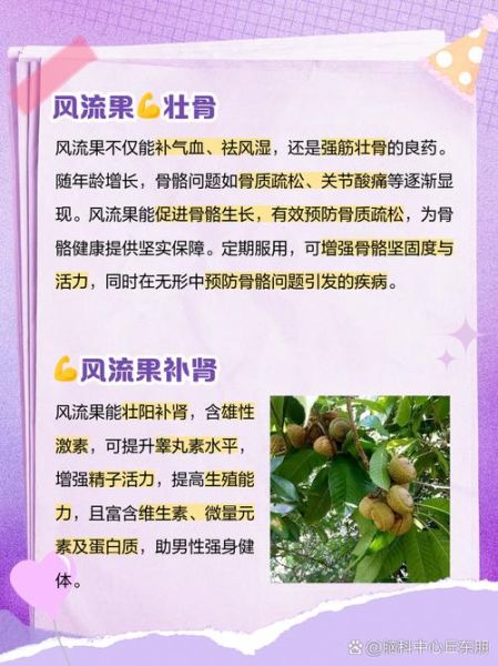 风流果的功效与作用_风流果怎么使用-第2张图片-山城妙识