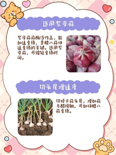 腊八蒜怎么腌制变绿_家庭版腊八蒜做法-第1张图片-山城妙识