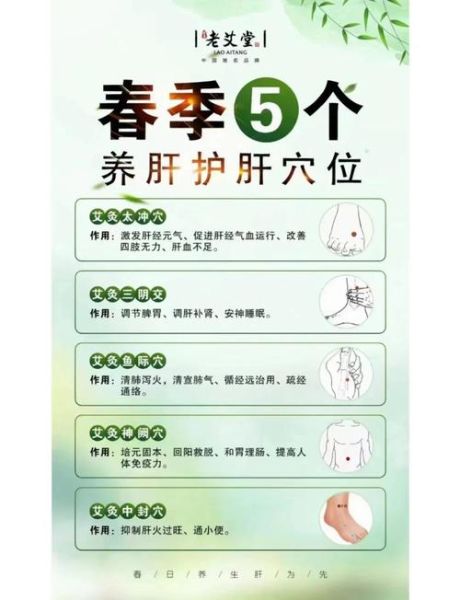 春季如何养肝_黄帝内经春季养生方法-第1张图片-山城妙识