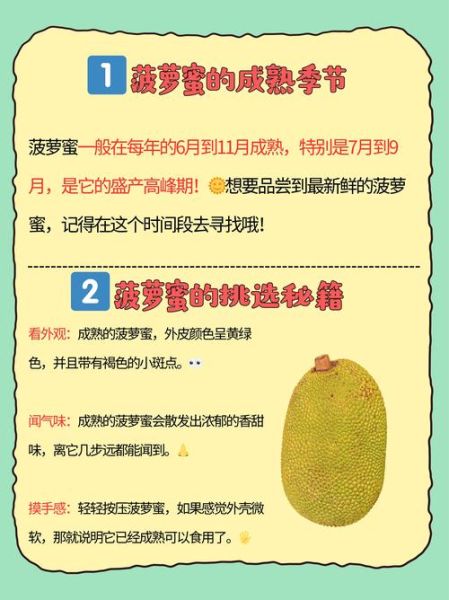 菠萝蜜国际通道4怎么用_菠萝蜜国际通道4安全吗-第2张图片-山城妙识