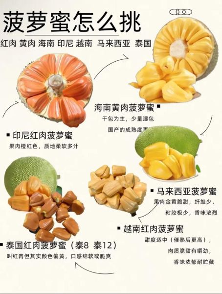 菠萝蜜国际通道4怎么用_菠萝蜜国际通道4安全吗-第3张图片-山城妙识