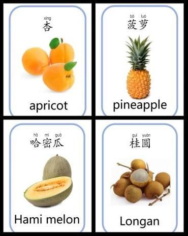 龙眼英语怎么拼写_龙眼英语怎么说-第2张图片-山城妙识