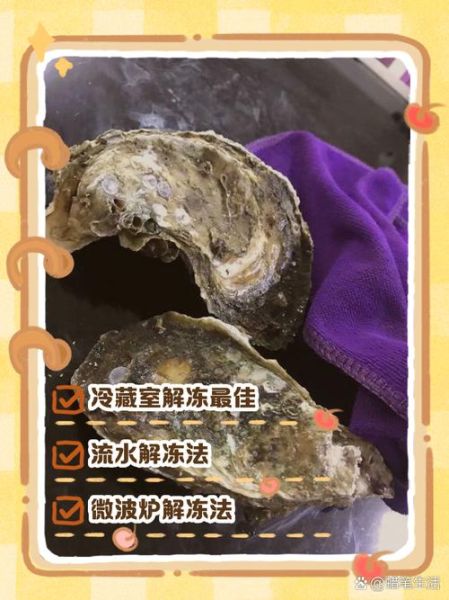 带壳生蚝怎么保存_带壳生蚝可以放多久-第2张图片-山城妙识 带壳生蚝怎么保存_带壳生蚝可以放多久-第2张图片-山城妙识