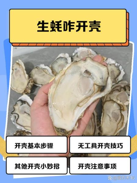 带壳生蚝怎么保存_带壳生蚝可以放多久-第3张图片-山城妙识 带壳生蚝怎么保存_带壳生蚝可以放多久-第3张图片-山城妙识