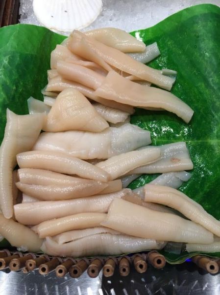 象牙蚌多少钱一斤_如何挑选最新鲜-第2张图片-山城妙识