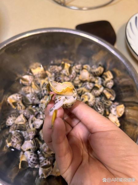 花螺哪些部位不能吃_花螺内脏怎么清理-第2张图片-山城妙识