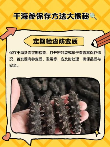 干海参冷藏还是冷冻_干海参保存方法-第3张图片-山城妙识