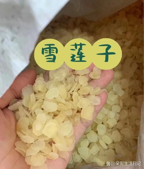 雪莲子功效与作用_雪莲子怎么吃最好-第2张图片-山城妙识 雪莲子功效与作用_雪莲子怎么吃最好-第2张图片-山城妙识