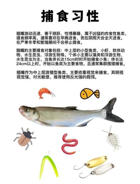 翘嘴怎么钓_翘嘴鱼最佳钓法-第2张图片-山城妙识