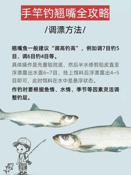 翘嘴怎么钓_翘嘴鱼最佳钓法-第1张图片-山城妙识