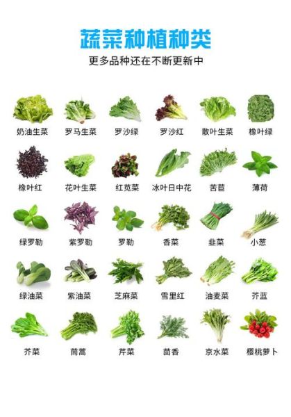 南方蔬菜有哪些_南方蔬菜名称大全-第2张图片-山城妙识