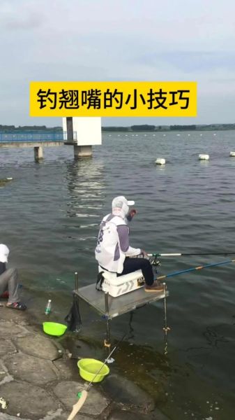 翘嘴怎么钓_翘嘴鱼最佳钓法-第3张图片-山城妙识