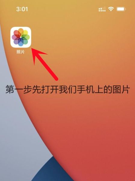 苹果图片转文字怎么操作_苹果手机图片转文字免费方法-第1张图片-山城妙识