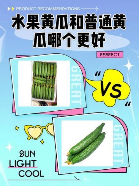 水果黄瓜和普通黄瓜的区别_水果黄瓜怎么吃最好-第1张图片-山城妙识 水果黄瓜和普通黄瓜的区别_水果黄瓜怎么吃最好-第1张图片-山城妙识