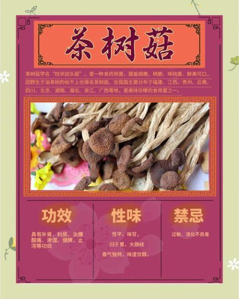 茶树菇孕妇可以吃吗_孕妇吃茶树菇的注意事项-第1张图片-山城妙识