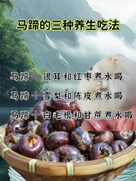 马蹄煲汤的功效与作用_马蹄煲汤适合什么人喝-第3张图片-山城妙识
