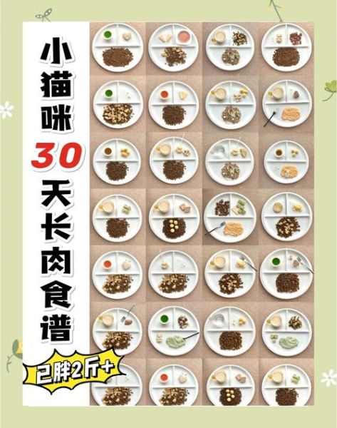 增肥食谱一周肥10斤_如何快速增重-第2张图片-山城妙识