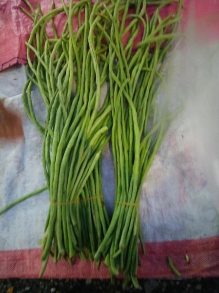 酸豆角怎么腌_酸豆角腌制方法-第3张图片-山城妙识 酸豆角怎么腌_酸豆角腌制方法-第3张图片-山城妙识