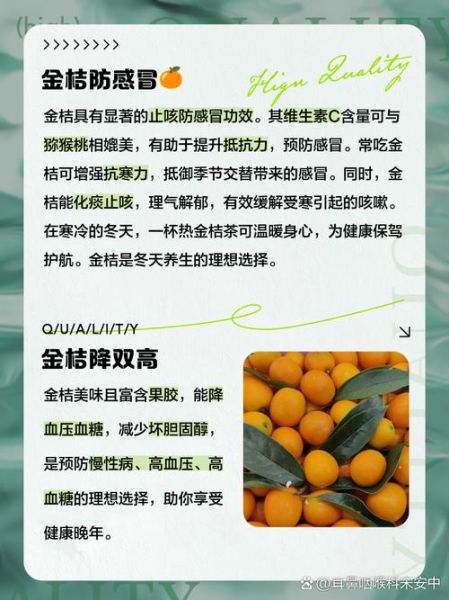 女人吃金桔的好处_金桔对女性的功效与作用-第2张图片-山城妙识