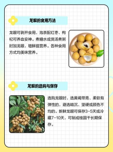龙眼几月份成熟_龙眼什么时候上市-第1张图片-山城妙识