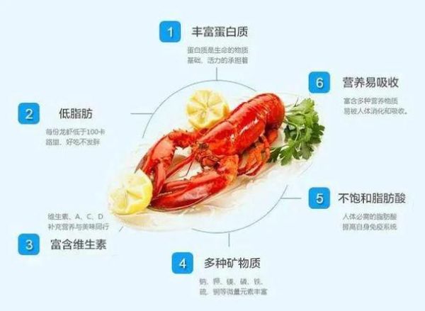 孕妇可以吃龙虾吗_孕妇吃龙虾注意事项-第2张图片-山城妙识