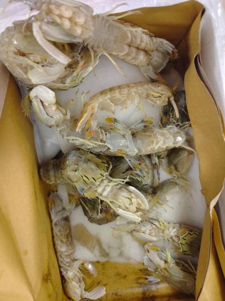 虾爬子蒸多久能熟_虾爬子蒸几分钟口感最好-第3张图片-山城妙识