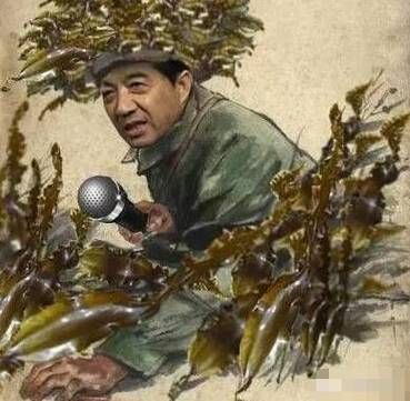 海带缠潜艇下一句是什么_海带缠潜艇梗来源-第1张图片-山城妙识