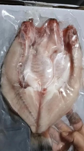 真空包装海鲈鱼怎么保存_真空包装海鲈鱼蒸多久才熟-第1张图片-山城妙识