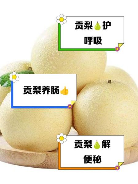 贡梨的功效与作用_贡梨怎么吃润肺止咳-第1张图片-山城妙识 贡梨的功效与作用_贡梨怎么吃润肺止咳-第1张图片-山城妙识