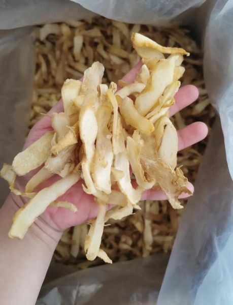 玉竹长什么样_玉竹图片如何鉴别真假-第2张图片-山城妙识 玉竹长什么样_玉竹图片如何鉴别真假-第2张图片-山城妙识