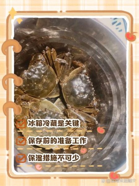 新鲜的螃蟹怎么保存_活蟹冷藏能放几天-第2张图片-山城妙识 新鲜的螃蟹怎么保存_活蟹冷藏能放几天-第2张图片-山城妙识