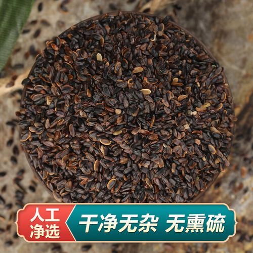 狗宝咸菜是什么药材_狗宝咸菜的功效与作用-第2张图片-山城妙识