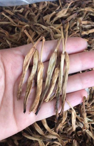 干金针菜怎么泡发_金针菜煲汤要不要焯水-第3张图片-山城妙识