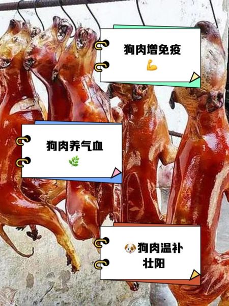 狗肉的营养价值_狗肉的功效与作用有哪些-第1张图片-山城妙识
