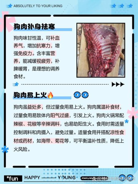 狗肉的营养价值_狗肉的功效与作用有哪些-第2张图片-山城妙识