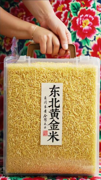 黄金米怎么做好吃_黄金米家常做法-第1张图片-山城妙识 黄金米怎么做好吃_黄金米家常做法-第1张图片-山城妙识