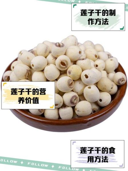干莲子怎么吃最养脾胃_干莲子功效与作用有哪些-第2张图片-山城妙识