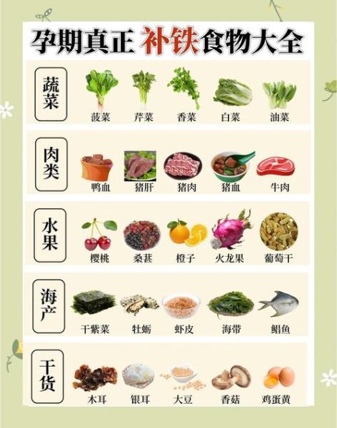 补铁的食物有哪些效果最好_缺铁吃什么最快-第1张图片-山城妙识