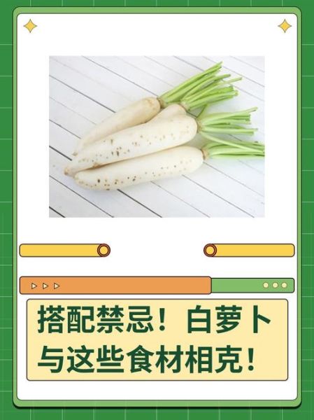 白萝卜不能和什么一起吃_白萝卜食物相克表-第1张图片-山城妙识