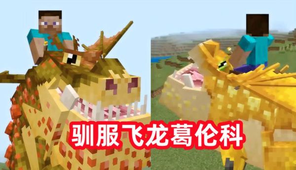 木鱼我的世界驯龙高手怎么驯龙_木鱼我的世界驯龙高手最强龙推荐-第1张图片-山城妙识